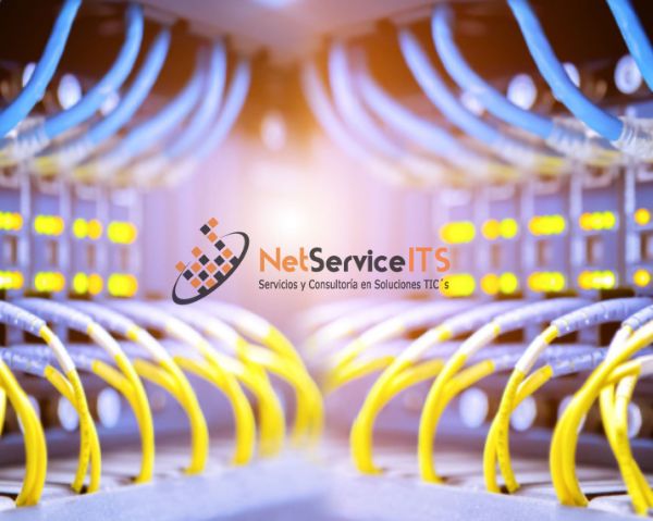 NetService ITS, Integradores De Soluciones En Tecnología Medellín ...